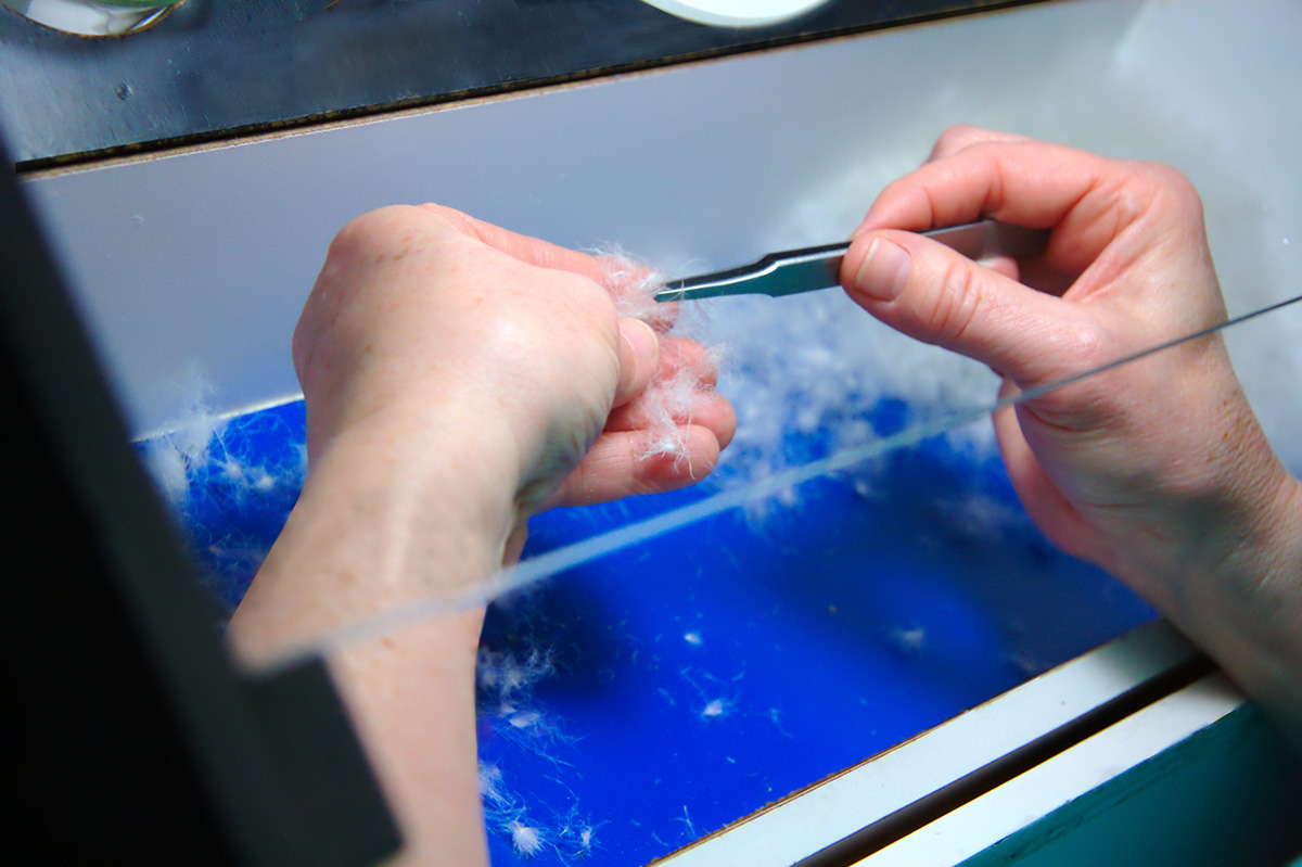 Why Down Feather Cleanliness Verification is Important - IDFL