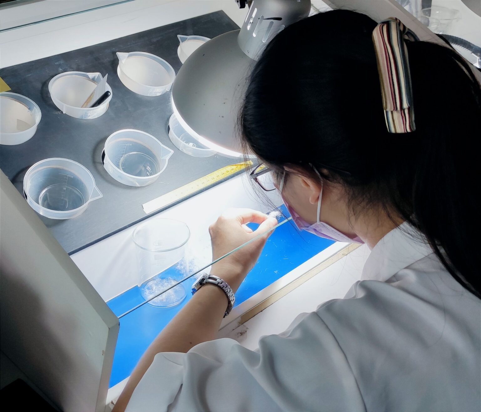 Textile Testing & Quality Assurance | Audits and Certifications | IDFL